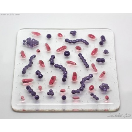 Gram stained bacteria glass art panel Microbiology office desk decor