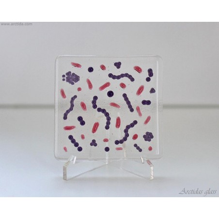 Gram stained bacteria glass art panel Microbiology office desk decor